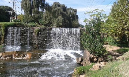 Delta Park | Joburg City Parks | Build your event with Our-Venue.com